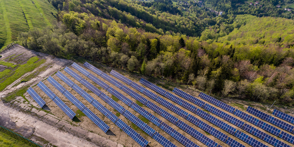 TGRC Limited t/a The Green Recruitment · Green Recruitment Company